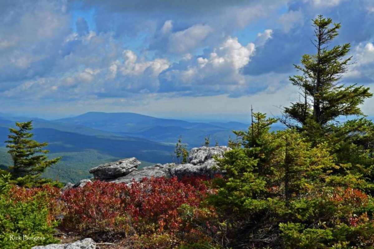 Major access road to Dolly Sods Wilderness in national forest closing ...