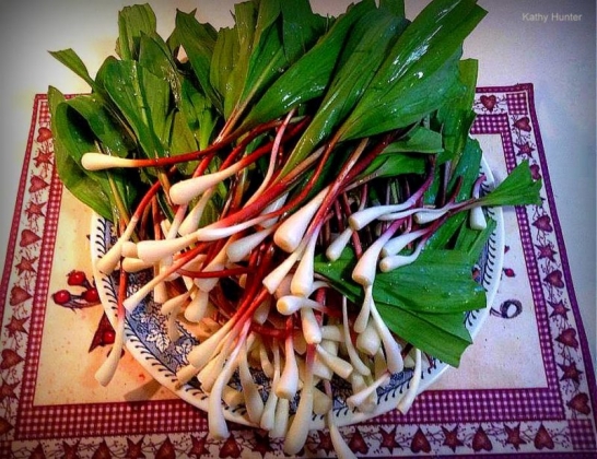 West Virginia Ramp Dinners & Festivals - West Virginia Explorer