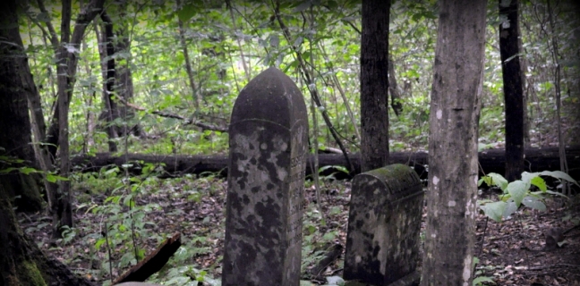 West Virginia Explorer - WV News and Travel Guide