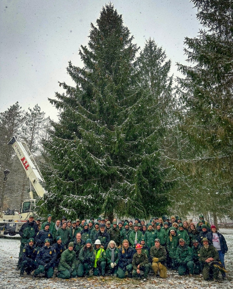 Facts about the West Virginia-grown U.S. Capitol Christmas tree - West ...