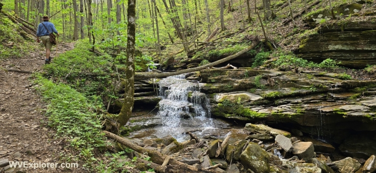 Experience a dozen waterfalls on this two-mile West Virginia trail ...