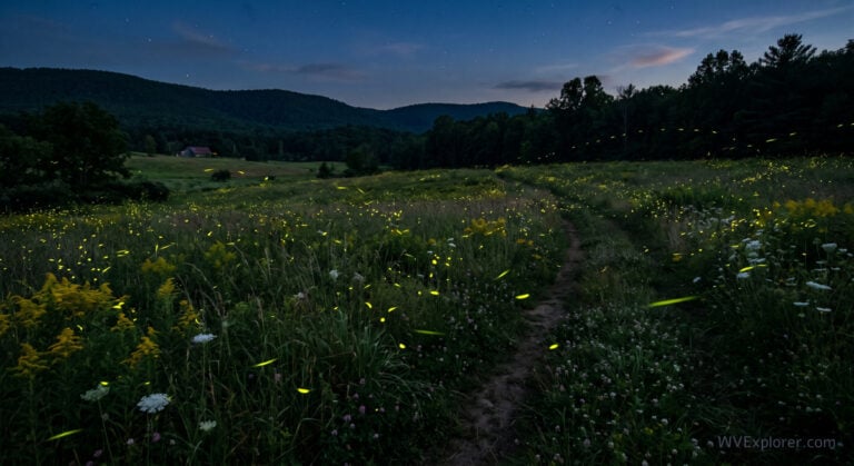 Scientists say West Virginia's dark skies are becoming a refuge for ...