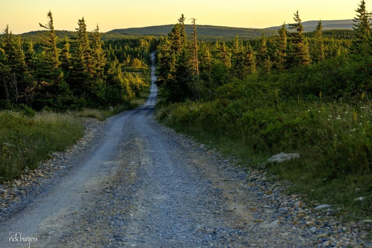 Major access road to Dolly Sods Wilderness in national forest closing ...