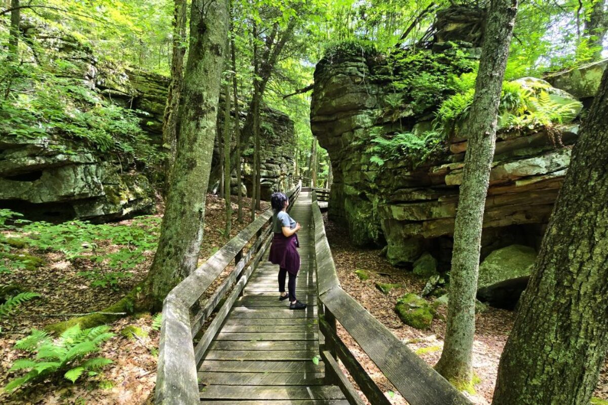Why Beartown State Park is one of West Virginia's strangest places ...